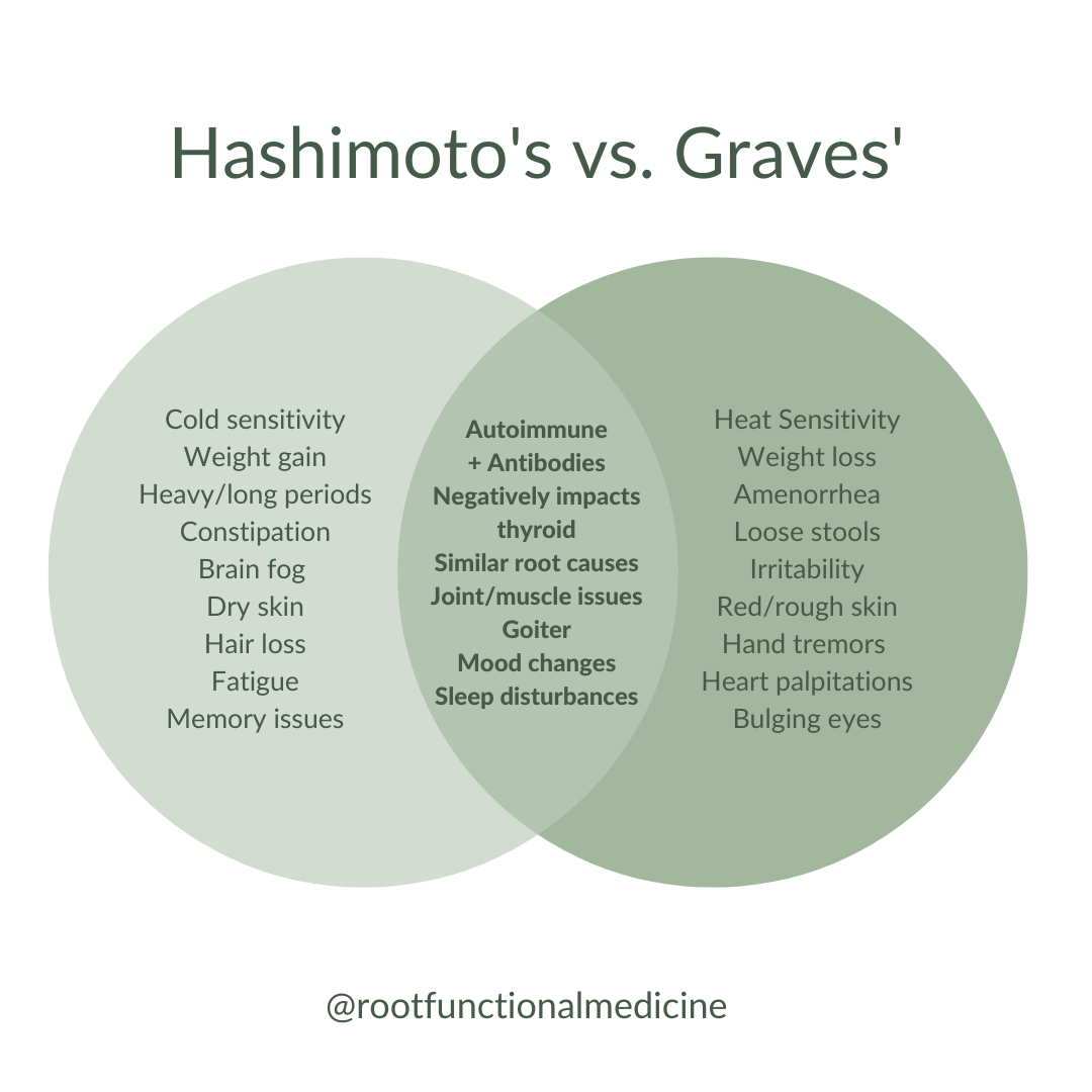 Antilichamen Hebben Voor Zowel De Ziekte Van Graves Als De Ziekte Van Hashimoto Ziekte Van